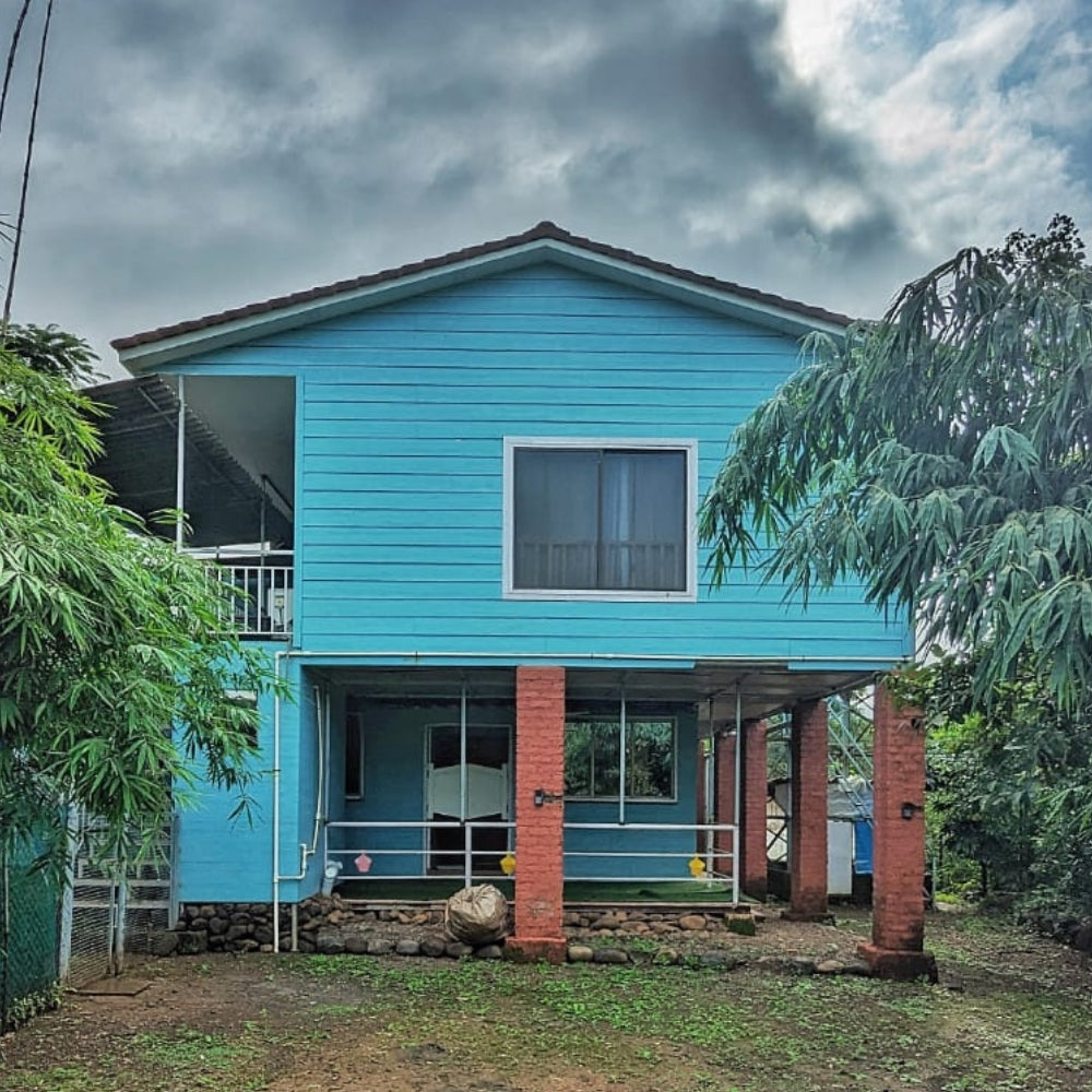 Shop | Yin N Yang Farms Pvt. Ltd.